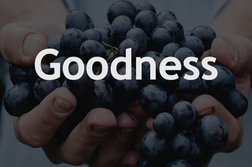 Goodness and Faithfulness | Forging Bonds